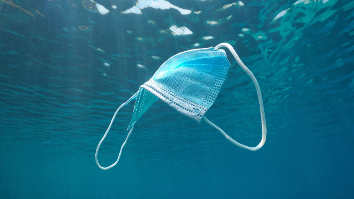 STUDY SHOWS MOST PEOPLE NOW HAVE MICROPLASTICS IN THEIR LUNGS-FOUND IN ...