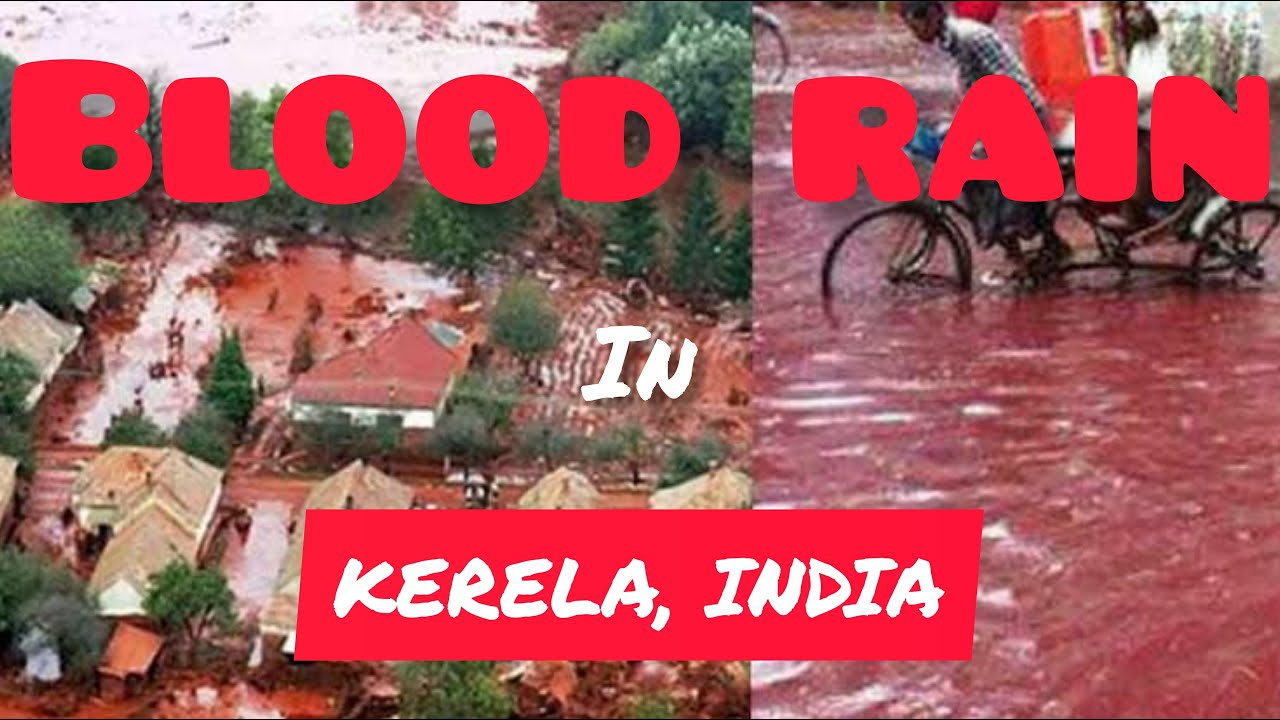 Lauda Leon – Breaking the in-verse Soul programming codes: Avoiding the ...