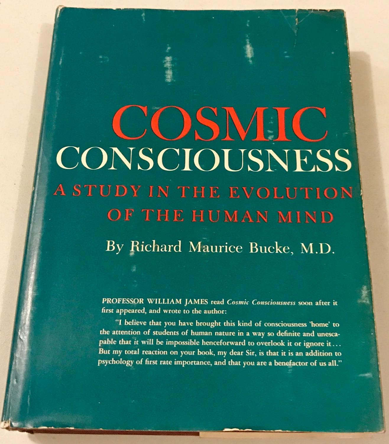 What is Cosmic Consciousness vs Christ Consciousness – PARADIGM SHYFT