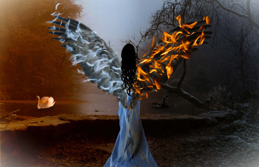 WHAT IS 5D EXPLAINED – PARADIGM SHYFT